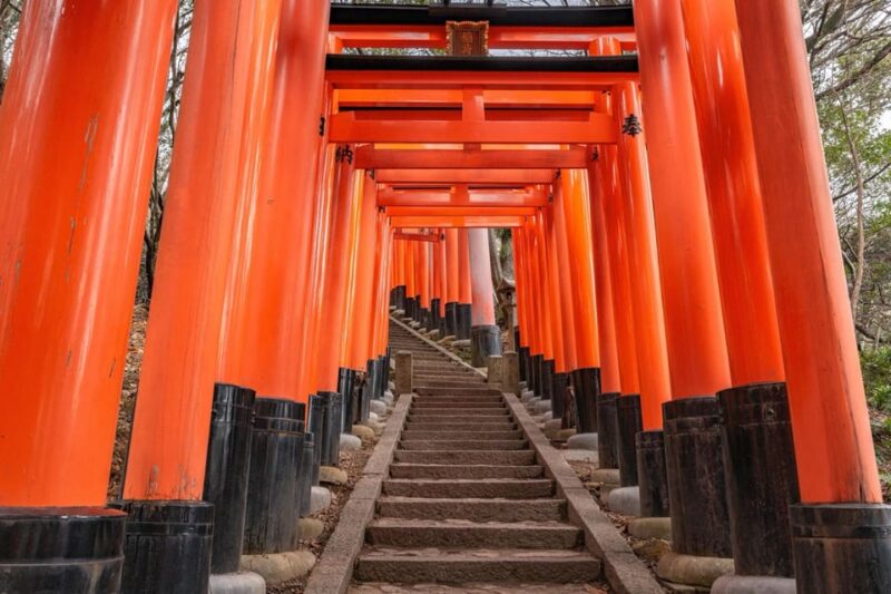 Kyoto: Best of the City in One Day Tour With Licensed Guide - Frequently Asked Questions