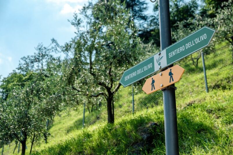 Lugano: Guided Walking Tour to Gandria With Boat Cruise - Since You Asked