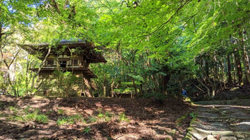 Nara: Heart of Nature Temple, Forest, & Waterfall Bike Tour - Frequently Asked Questions