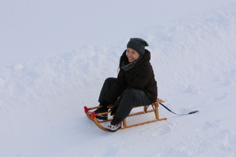 Switzerland: Private Skiing Day Tour for Any Level - Since You Asked