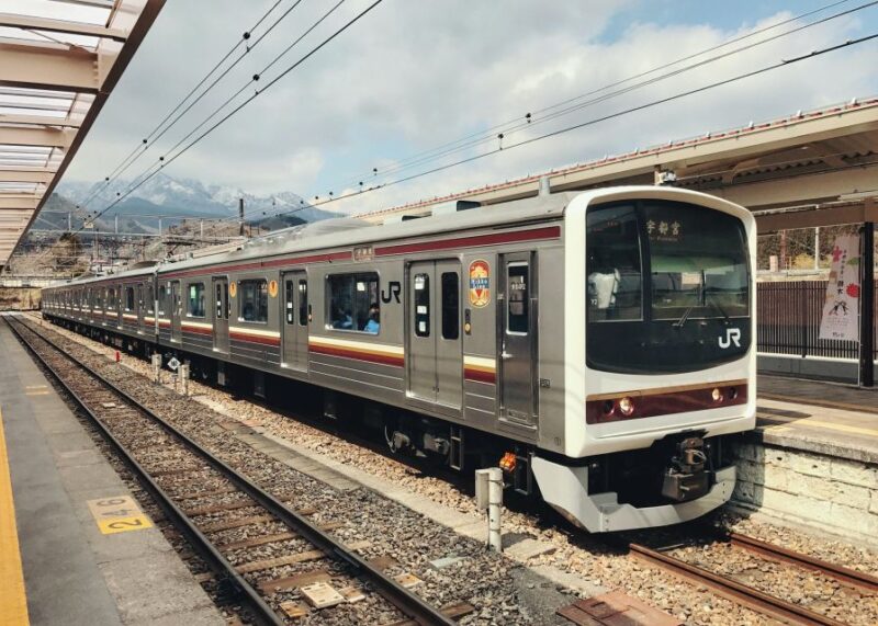 Tokyo to Nikko: Exclusive Private Day Trip - Frequently Asked Questions