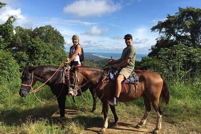 Alanya Horse Riding Experience With Free Hotel Transfer - Key Points