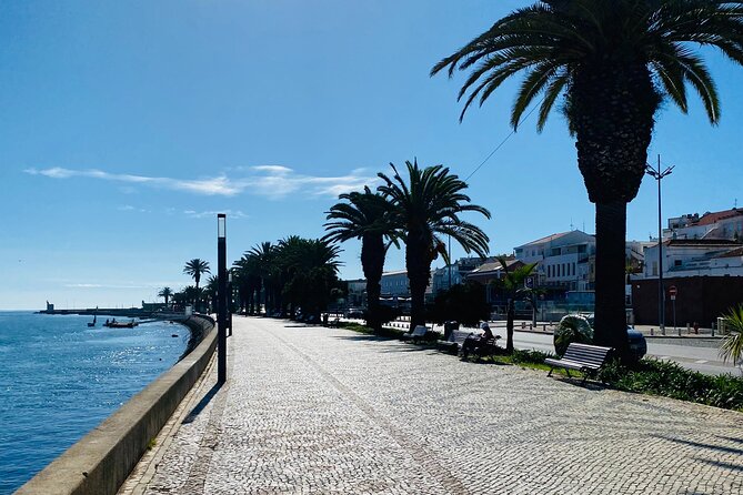 Algarve: Lagos Sightseeing Guided Tour With E-Bikes - Location and Meeting Point