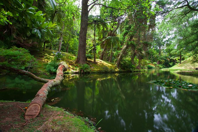 An Adventure Through the EAST of São Miguel Island - Key Points