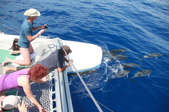 Arieiro Peak and Cristo Rei 4x4 Experience + Dolphins Watching - Itinerary Highlights