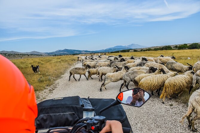 ATV Quad Mountain Tour With Picnic - Key Points