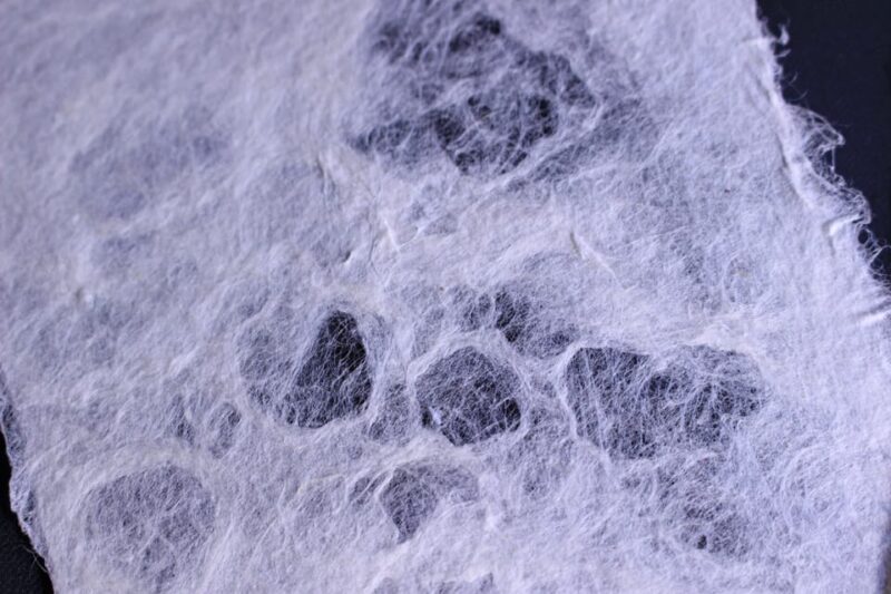 Authentic Handmade Washi Paper Making Workshop in Ueno - Key Points