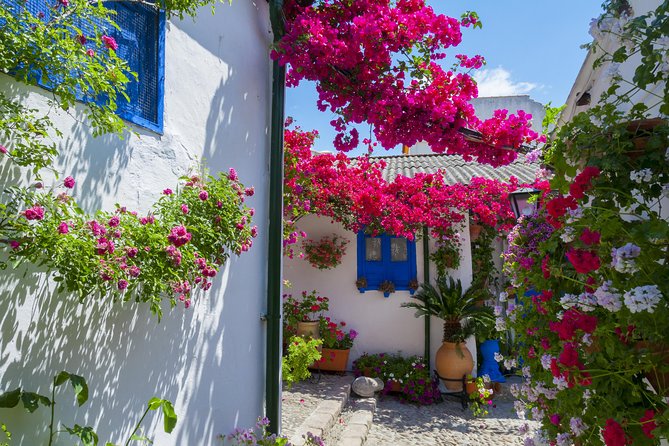 Authentic Patios of Cordoba Guided Tour - Key Points