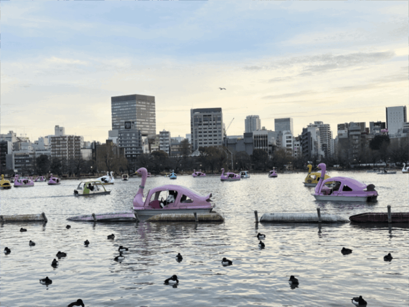 BEST OF TOKYO HIGHLIGHTS - WALKING TOUR PART 1 - Key Points