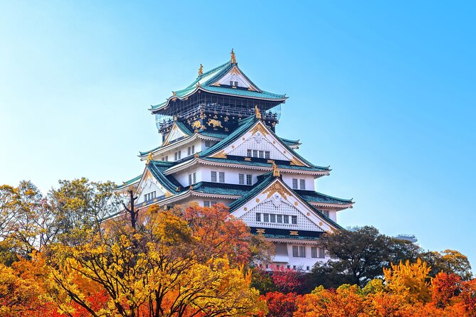 Best Private Osaka Walking Tour With A Guide 100% Personalised - Key Points