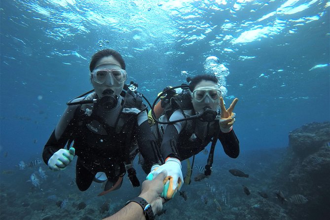 Blue Cave Area Experience Diving!Free Feeding & Photo Images!English and Chinese Speaking Guide Available!1 Group With a Dedicated Instructor - Key Points