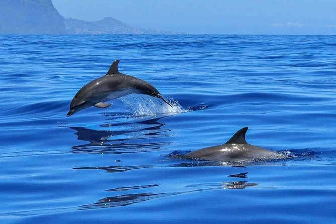 BLUE LAGON & 3 Islands Full Day Private Speedboat Tour - Key Points