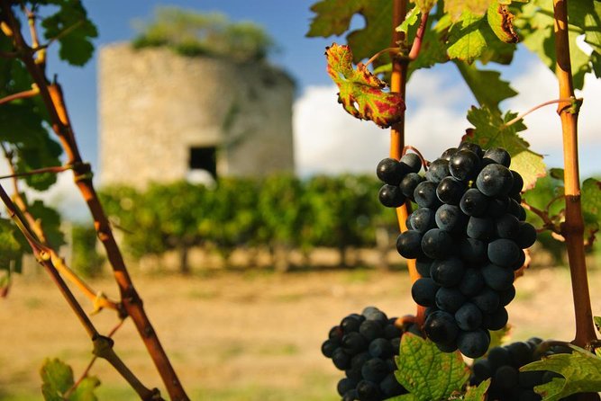 Bordeaux Full Day Medoc and St Emilion Wine Tour With Lunch - Key Points