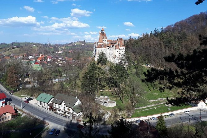 Castles Day Tour Peles - Bran - Rasnov From Brasov - Overview of the Castles Day Tour