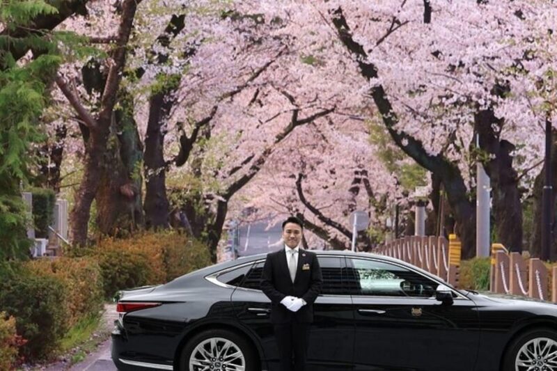 Cherry Blossom Private Tour - Key Points
