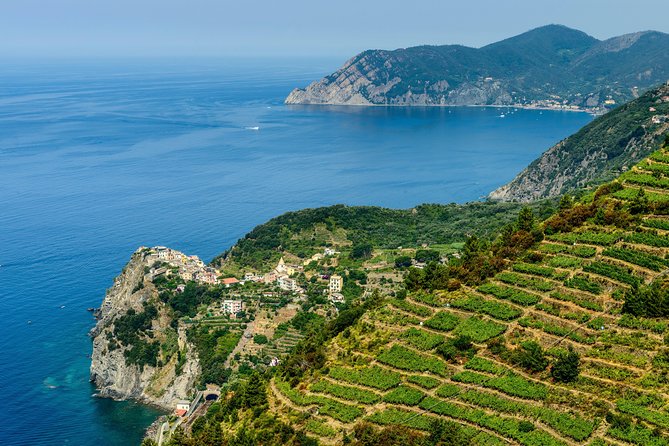 Cinqueterre and Pisa Shore Excursion From Livorno - Key Points