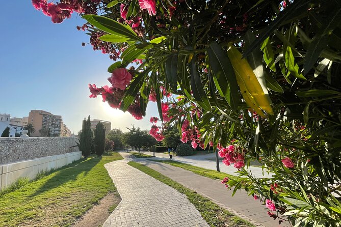 CITY OF ARTS & SCIENCES | Private Guided Tour on Bike or E-Step - Overview of the City of Arts & Sciences Tour