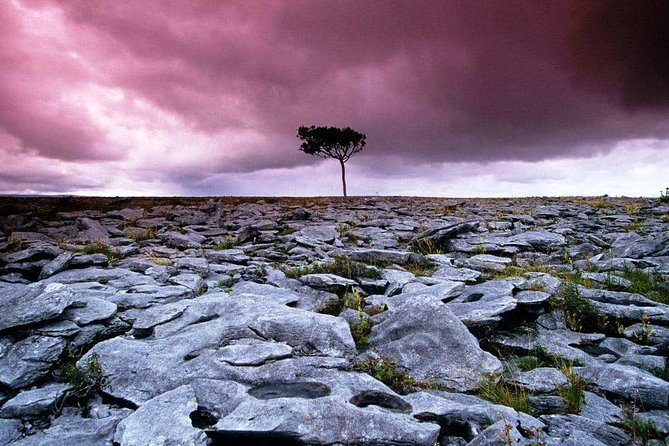 Cliffs of Moher, Burren and Wild Atlantic Way Day Tour From Galway City - Tour Details and Itinerary