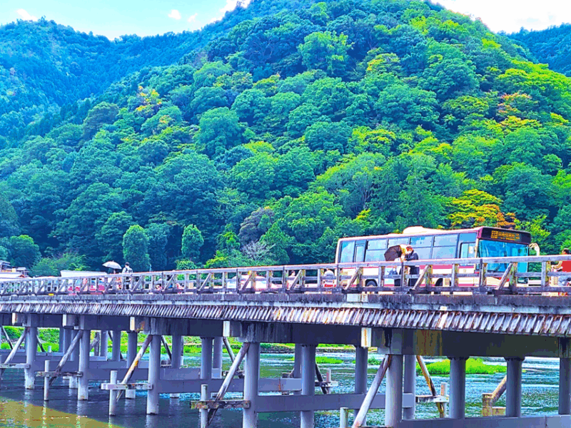 Complete Kyoto Tour: Explore 10 Must-See Sights& Hidden Gems - Key Points