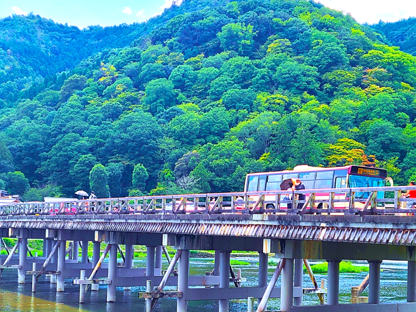 Complete Kyoto Tour: Explore 10 Must-See Sights& Hidden Gems - Visiting the Fushimi-Inari Taisha Shrine