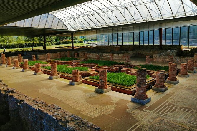 Conímbriga Roman Ruins and Museum, From Coimbra - Key Points