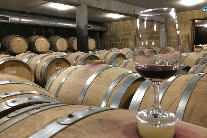 Cotes Du Rhone Wine Tour (9:00 Am to 5:15 Pm) - Small Group Tour From Lyon - About Your Stay