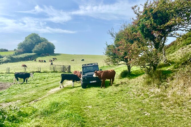 CRUISE SHIP SPECIAL- JEEP SAFARI - PRIVATE GUIDED TOUR (6 Hours) - Tour Overview