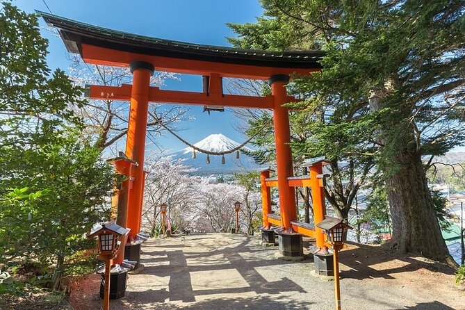 Customizable Private Tour in Mt. Fuji With Private Driver - Key Points