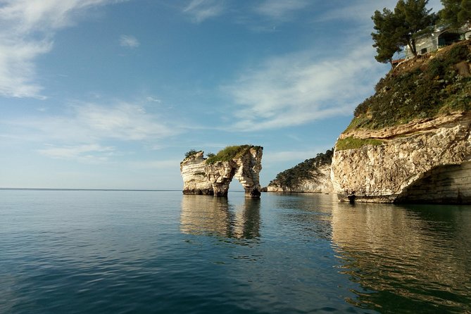 Desirèe: Private Boat Tour With Skipper - Key Points