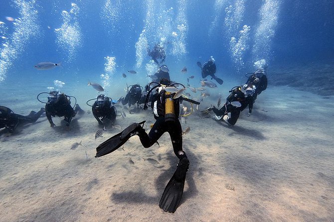 Discover Scuba Diving Review: An Underwater Adventure - About Your Stay