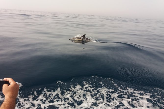 Dolphin Route - About Your Stay