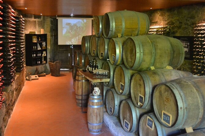 Douro Three Winery Small Group Tour With Lunch and Tastings - Key Points
