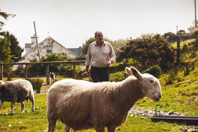 Dublin to South West 5 Day Small-Group Tour With Accommodation - Key Points