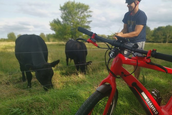 E-Biking Central Forgotten Giants S Adventure - Tour Overview and Details