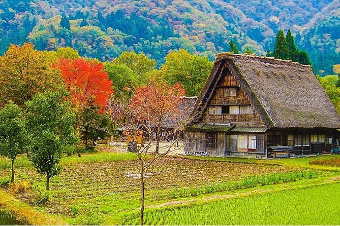 【Private Tour】Shirakawa-Go & Takayama 1-Day Tour From Nagoya - Key Points