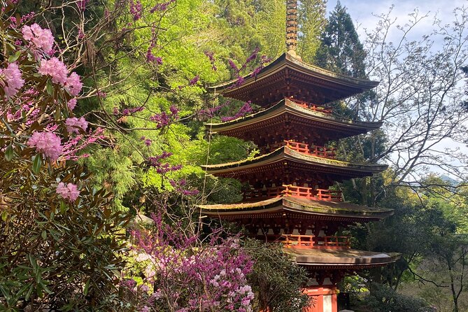 Exclusive Luxury Day Tours Serene Nara - Key Points