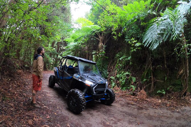 Exclusive Private Buggy Adventure: Forest and Mountains - Overview of the Exclusive Private Buggy Adventure