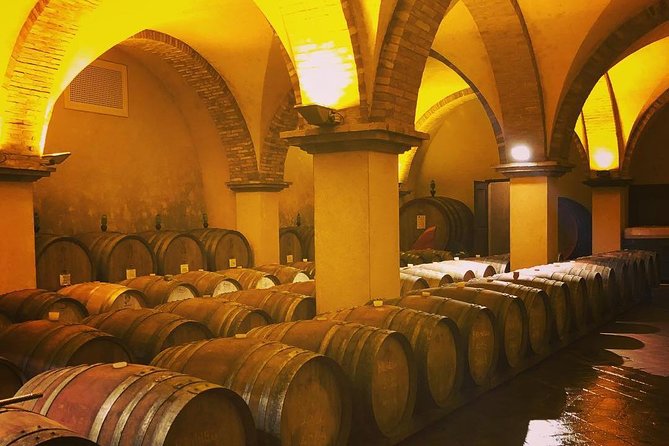 Exclusive Private Tuscany Wine Tour & Food Pairing Session - Key Points