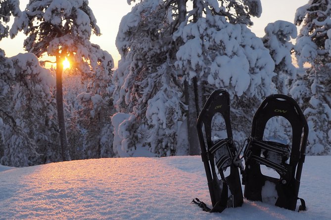 Explore Winter Woods: Snowshoe Walk With Local Biologist - About Your Stay