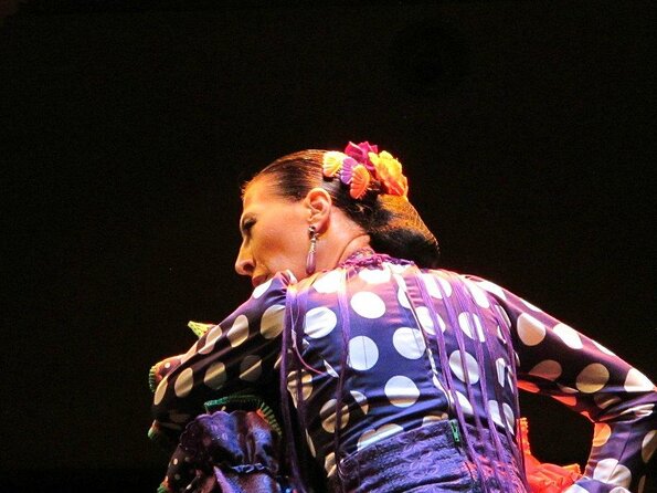 Flamenco Show Museum of Flamenco Dance - Key Points