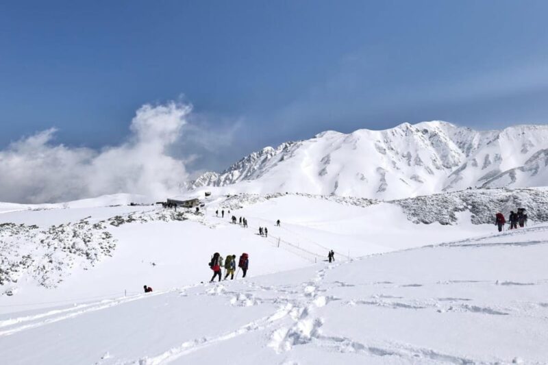 From Kanazawa/Toyama: Snow Wall & Mysterious Valley Day Tour - Key Points