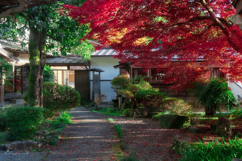 From Kyoto: Lake Biwa and Omi Hachiman Day Trip With Lunch - Key Points