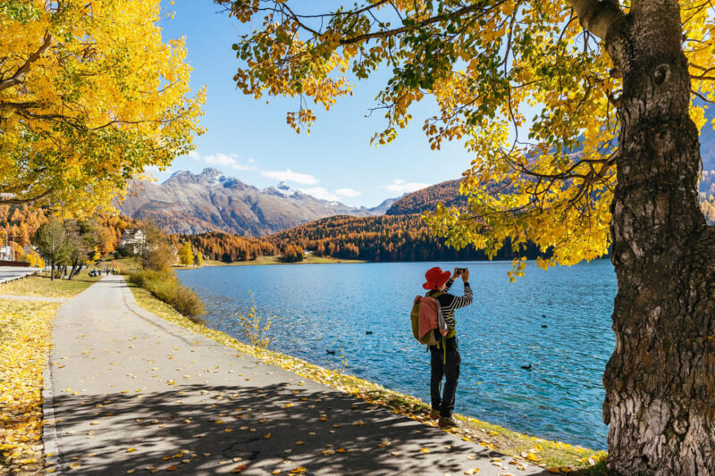 From Milan: St. Moritz and Panoramic Bernina Express Tour - Key Points