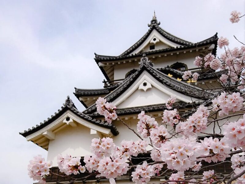 From Nagoya: Castles and Canals in Hikone and Omi Hachiman - Key Points