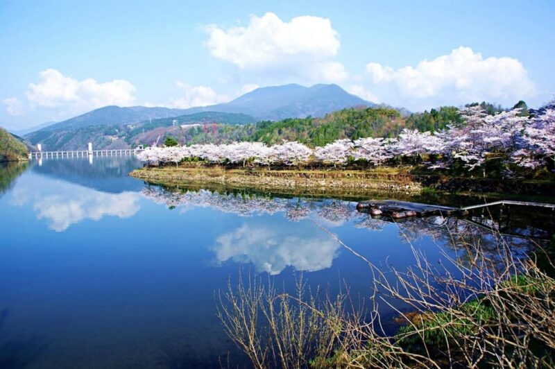 From Nagoya: Enakyo, Magome-juku & Tsumago-juku 1D Bus Tour - Key Points