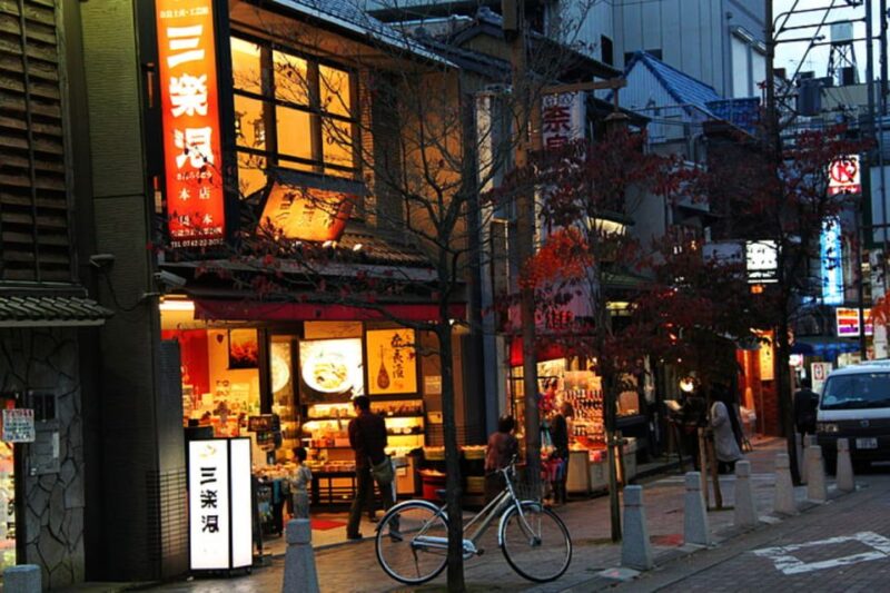 From Osaka: 10-hour Private Custom Tour to Nara - Key Points
