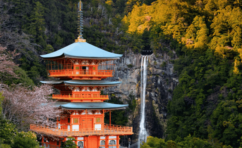From Osaka/Kyoto: Mount Koya & Wakayama Private Day Trip . - Key Points