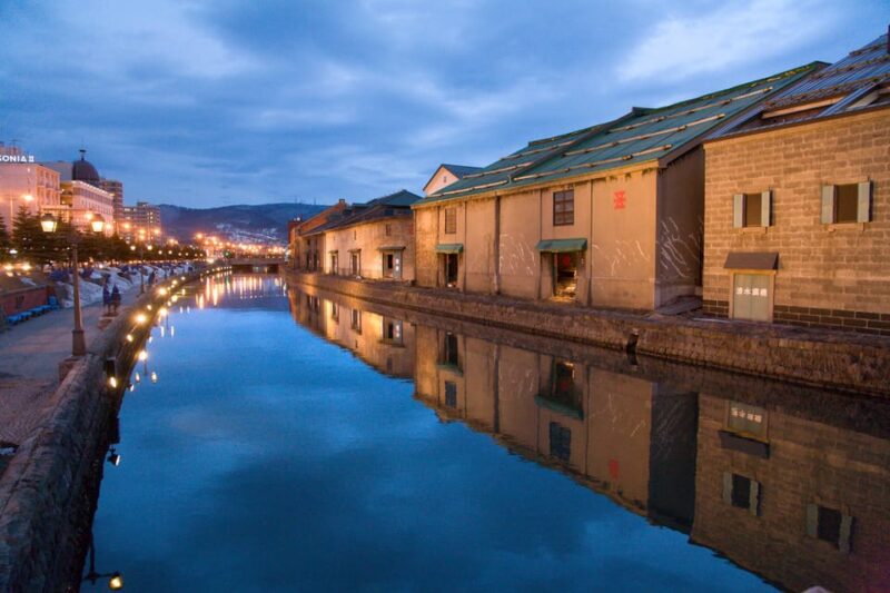From Sapporo: Private Customized Day Tour to Otaru - Luggage Policy