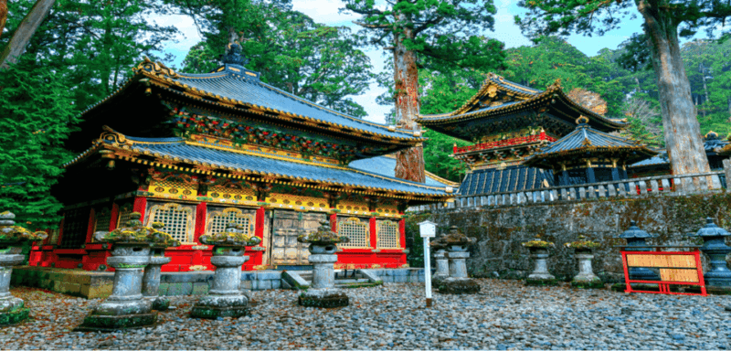From Tokyo: 10-hour Private Custom Tour to Nikko - Tour Guide Options