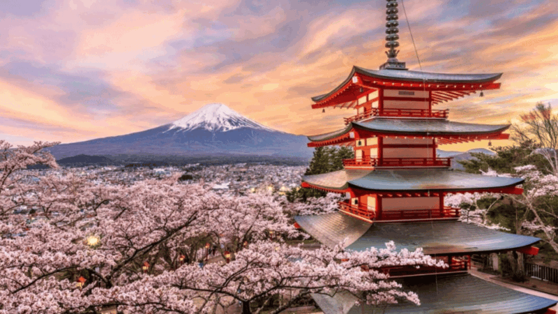 From Tokyo: Mount Fuji And Hakone Private Full Day Trip - Key Points